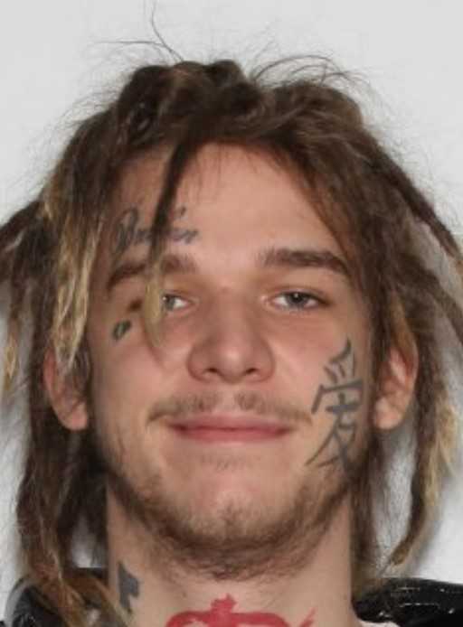 Lily Dale man charged in narcotics trafficking | News, Sports, Jobs ...